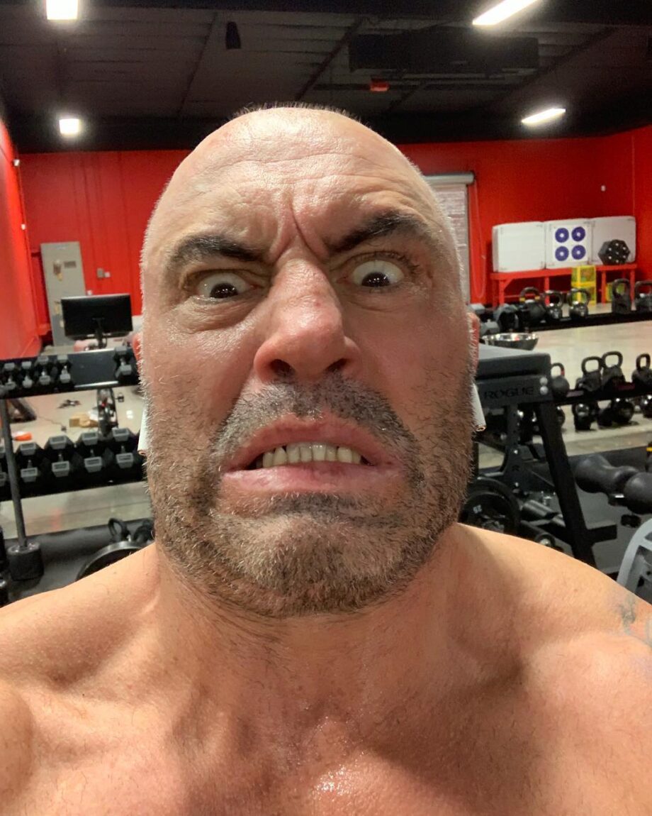 Joe Rogan's Epic Studio Gym, Training, and Nutrition (Plus Supplement ...