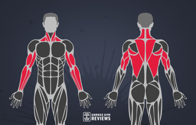 What Muscles Do Pull-Ups Work? | Garage Gym Reviews