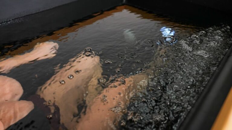 Cold Plunge Before or After Workout | Garage Gym Reviews