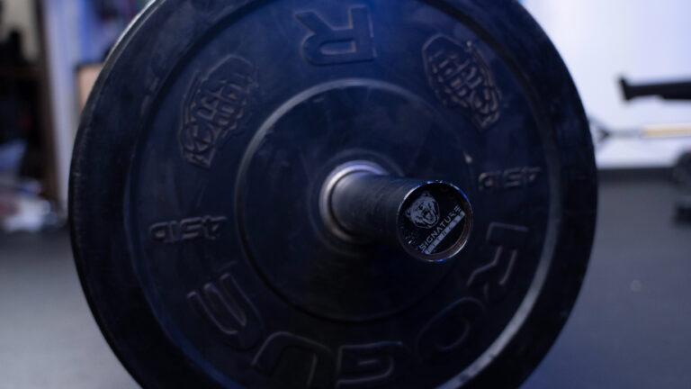 BalanceFrom Open Trap Bar Review (2026): A Super Budget-Friendly Option ...