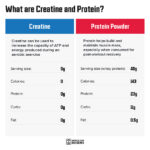 Creatine Vs Protein: Which Is Better? | Garage Gym Reviews